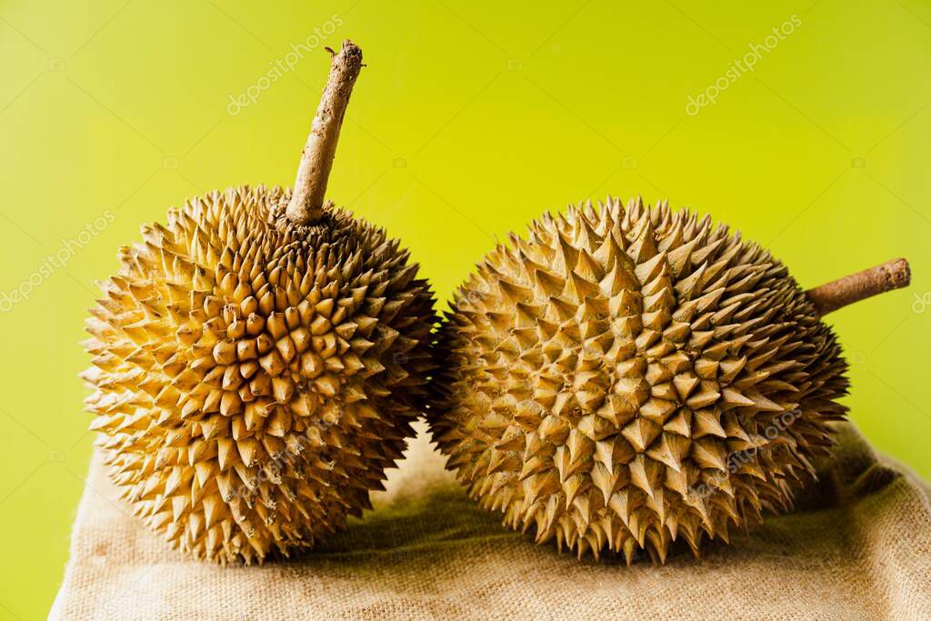 El durian es el fruto de varias especies de árboles pertenecientes al ...