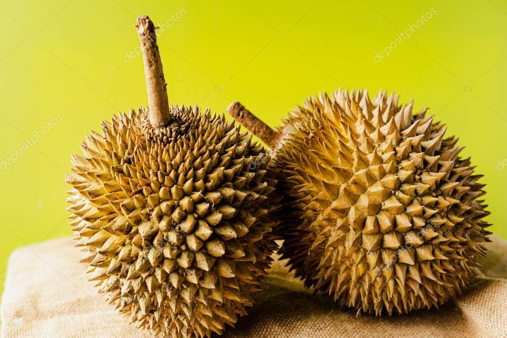 El durian es el fruto de varias especies de árboles pertenecientes al ...
