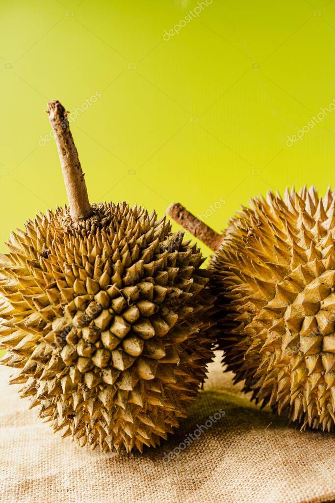 El durian es el fruto de varias especies de árboles pertenecientes al ...