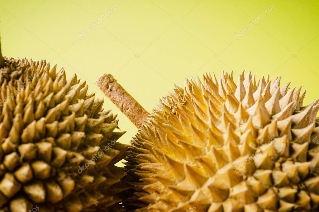 El durian es el fruto de varias especies de árboles pertenecientes al ...