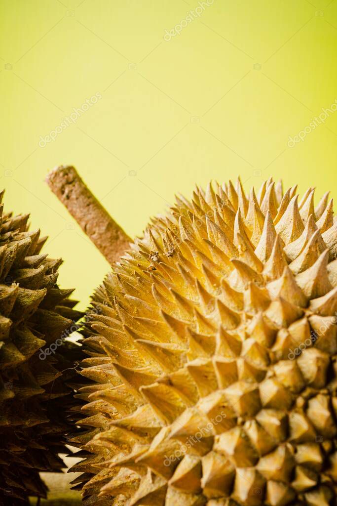 El durian es el fruto de varias especies de árboles pertenecientes al ...