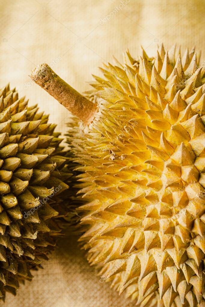 El durian es el fruto de varias especies de árboles pertenecientes al ...