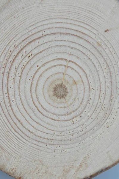 Wood end grain Images - Search Images on Everypixel