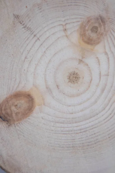 Wood end grain Images - Search Images on Everypixel