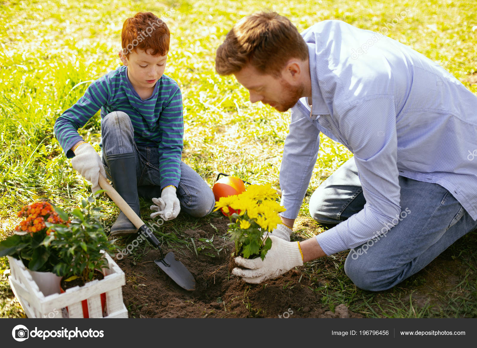 Nice positive father and son working together — Stock Photo ...