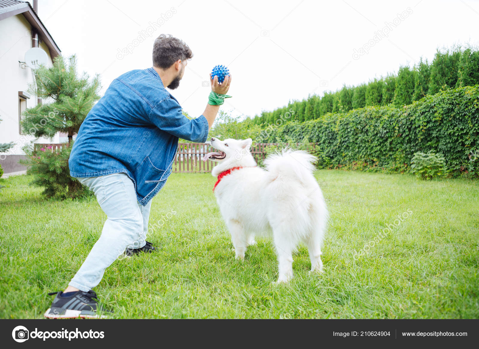 Person Throwing A Ball To Dog