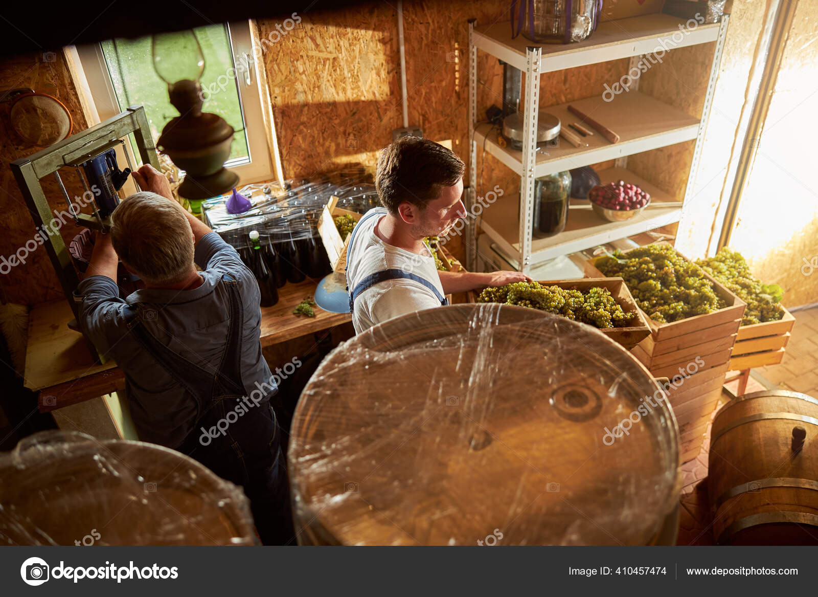 Professional winemaker and a young man working at winery — Stock Photo ...
