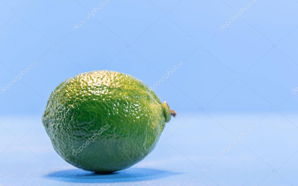 Cesta de mimbre con limón Limón cítrico. Citrus latifolia. Cítricos ...