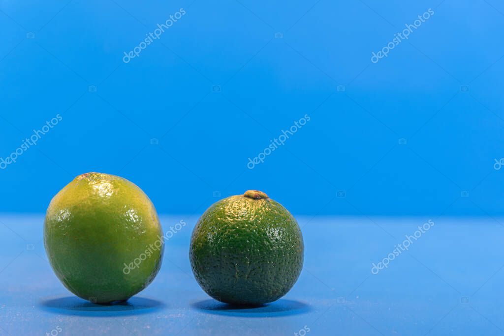 Cesta de mimbre con limón Limón cítrico. Citrus latifolia. Cítricos ...