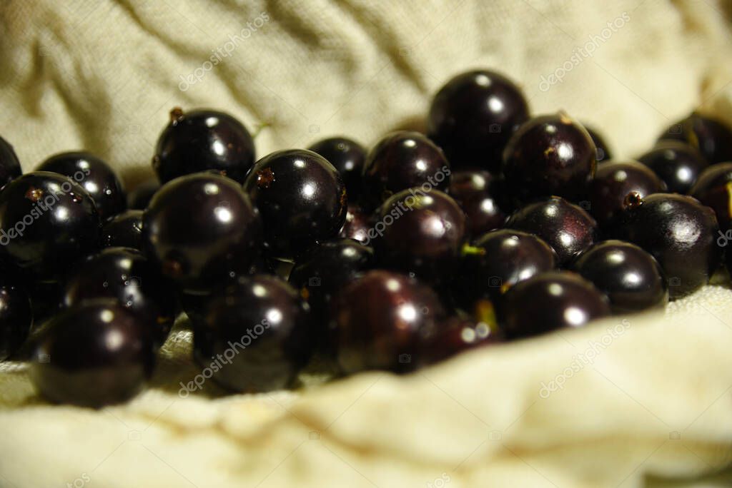 Jabuticaba es una fruta brasileña originaria de la Selva Atlántica ...