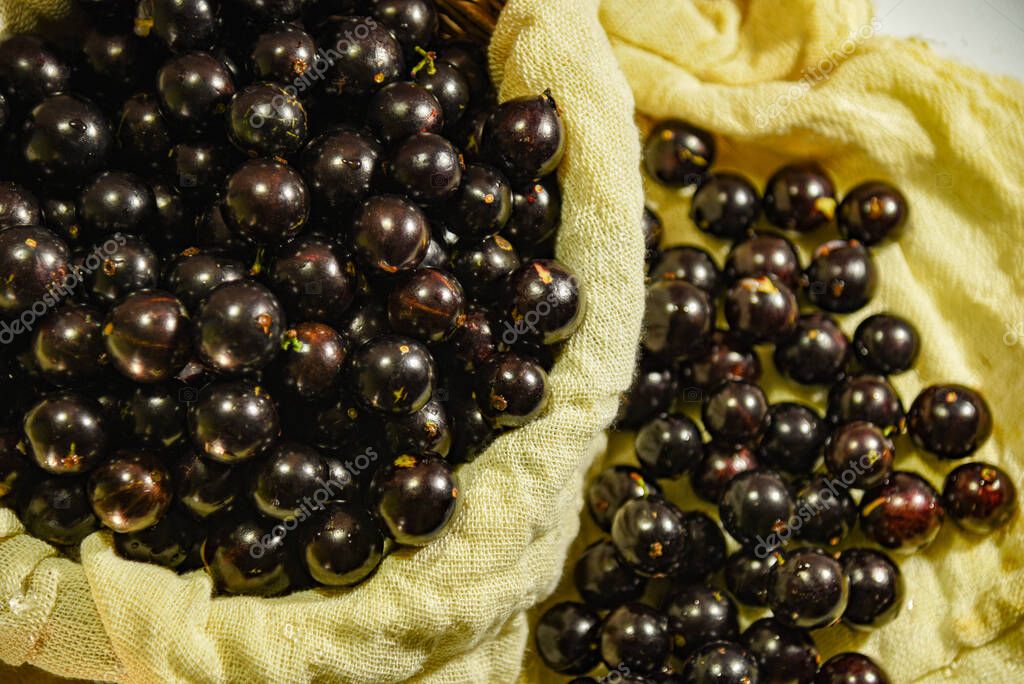 Jabuticaba es una fruta brasileña originaria de la Selva Atlántica ...