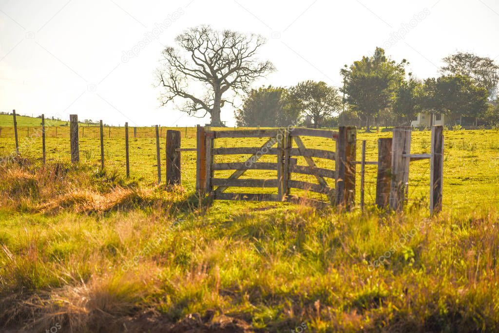 Paisaje rural de los campos generales. El Bioma de Pampas o Campos ...