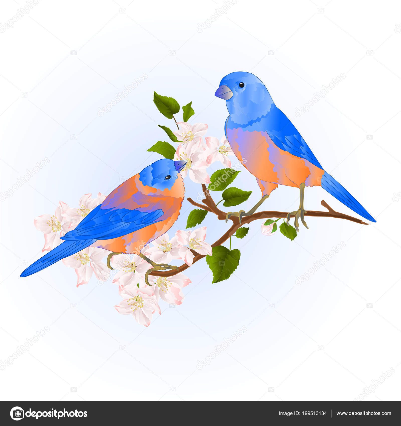Drawing Trees On Blue Birds