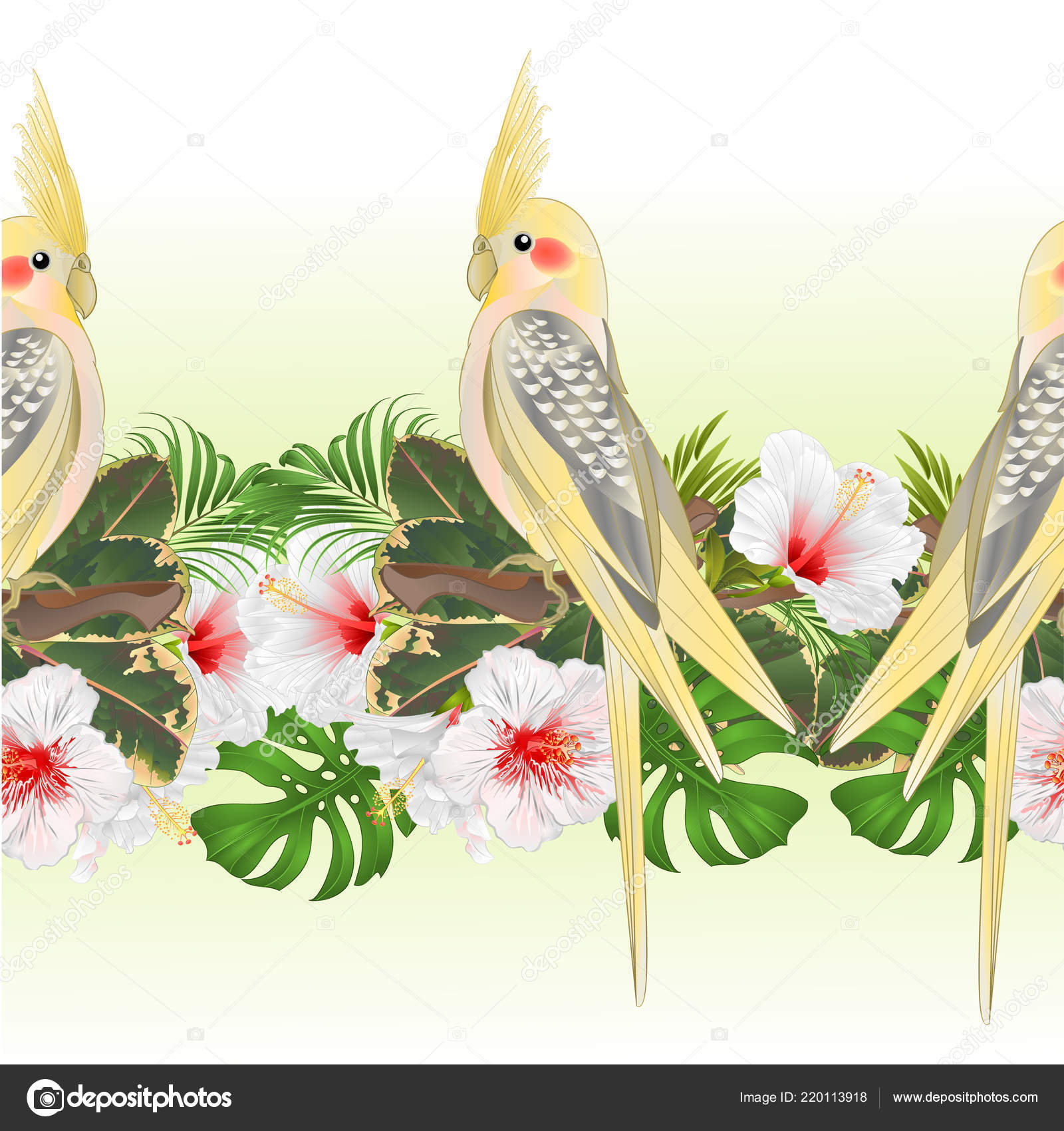 Tropical Border Seamless Background Yellow Cockatiel Cute Tropical Bird ...