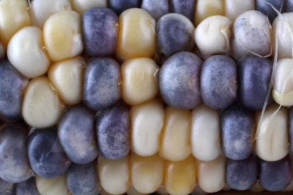 Maiz azul Stock Photos, Royalty Free Maiz azul Images | Depositphotos