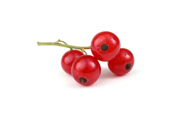 Groseille rouge et cassis images libres de droit, photos de Groseille ...