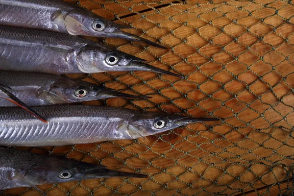 Indian mackerels Stock Photos, Royalty Free Indian mackerels Images ...