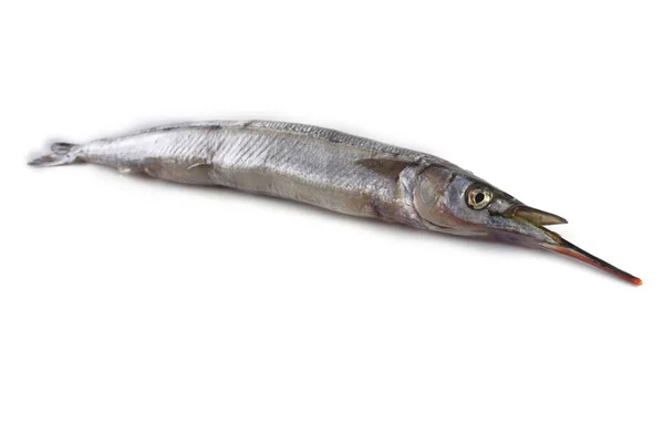 559 Garfish Stock Photos, Images | Download Garfish Pictures on ...