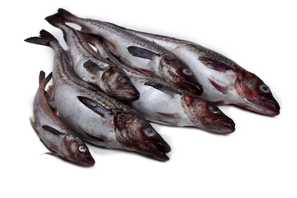 Stokvis Stock Photos, Royalty Free Stokvis Images | Depositphotos