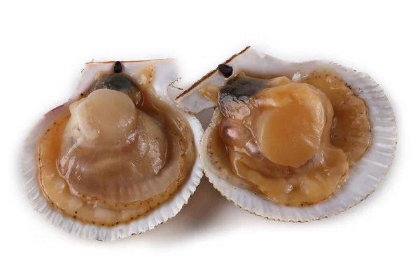 Cooked scallops Stock Photos, Royalty Free Cooked scallops Images ...