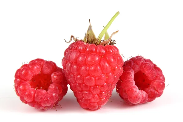 Raspberry pi programme Stock Photos, Royalty Free Raspberry pi ...