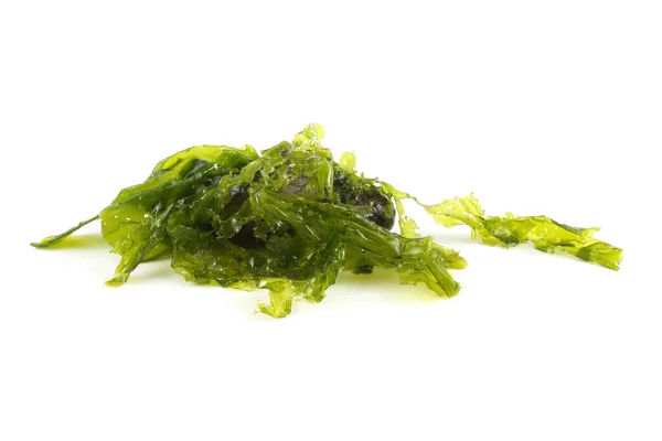 Algas australianas Stock Photos, Royalty Free Algas australianas Images ...