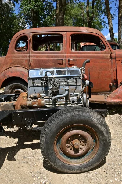 Cana de ratazana Stock Photos, Royalty Free Cana de ratazana Images ...