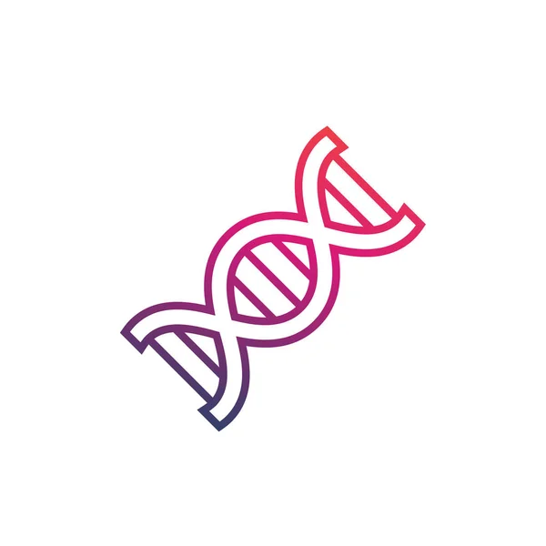 Dna strand logo Vector Art Stock Images | Depositphotos