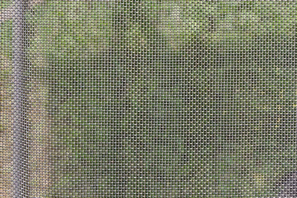 Insect screen Stock Photos, Royalty Free Insect screen Images ...