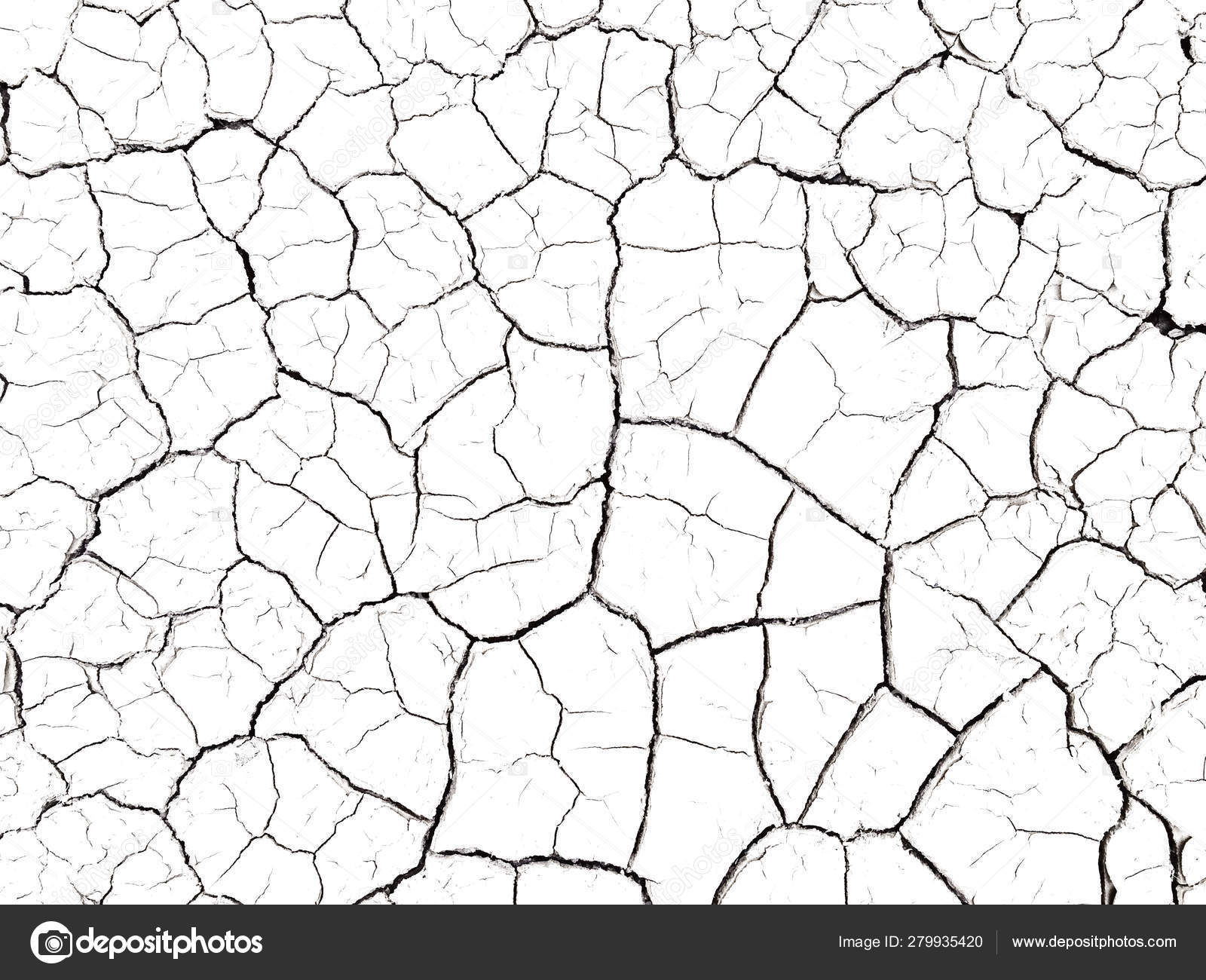 Cracked Desert Floor