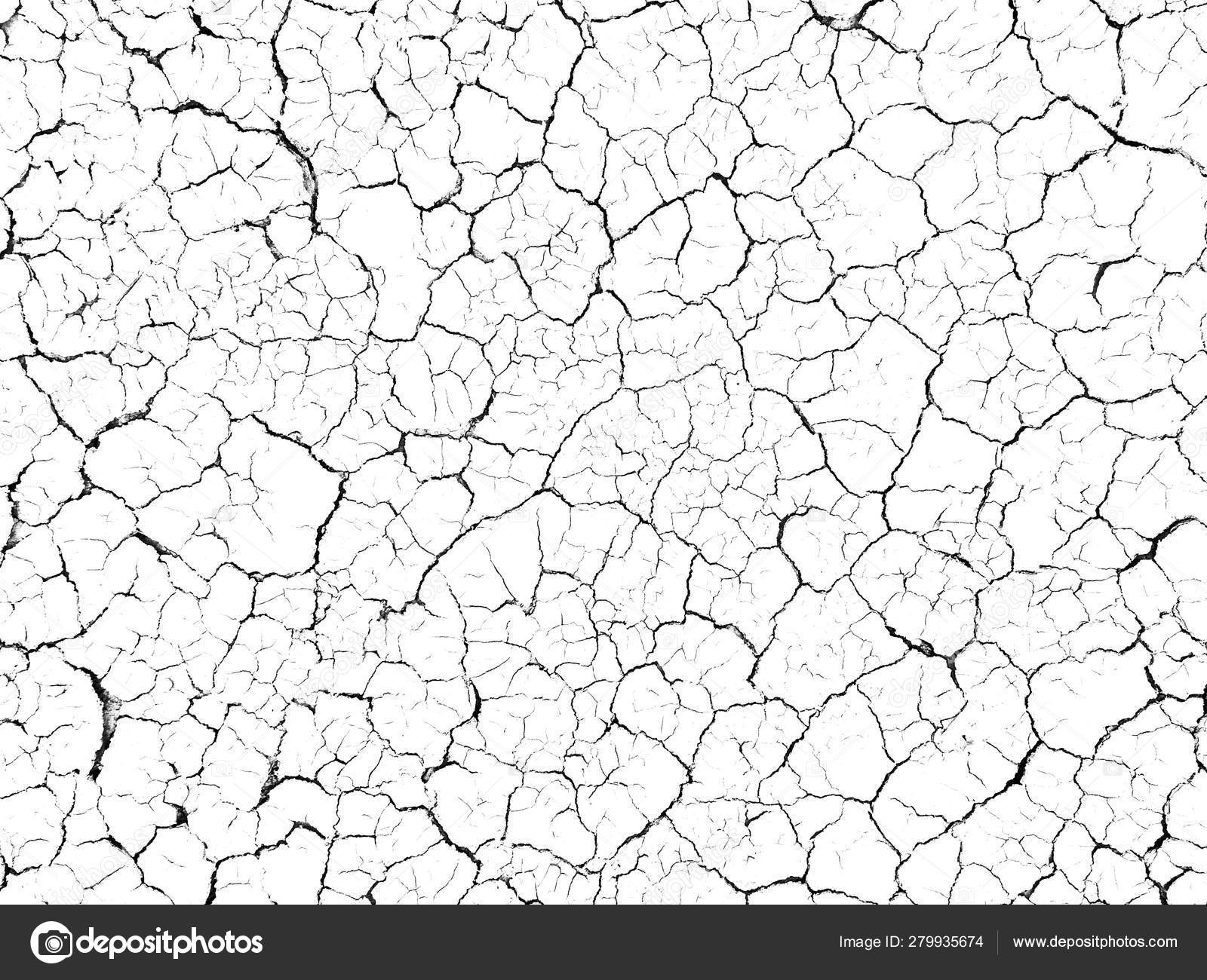 Cracked Desert Ground Texture