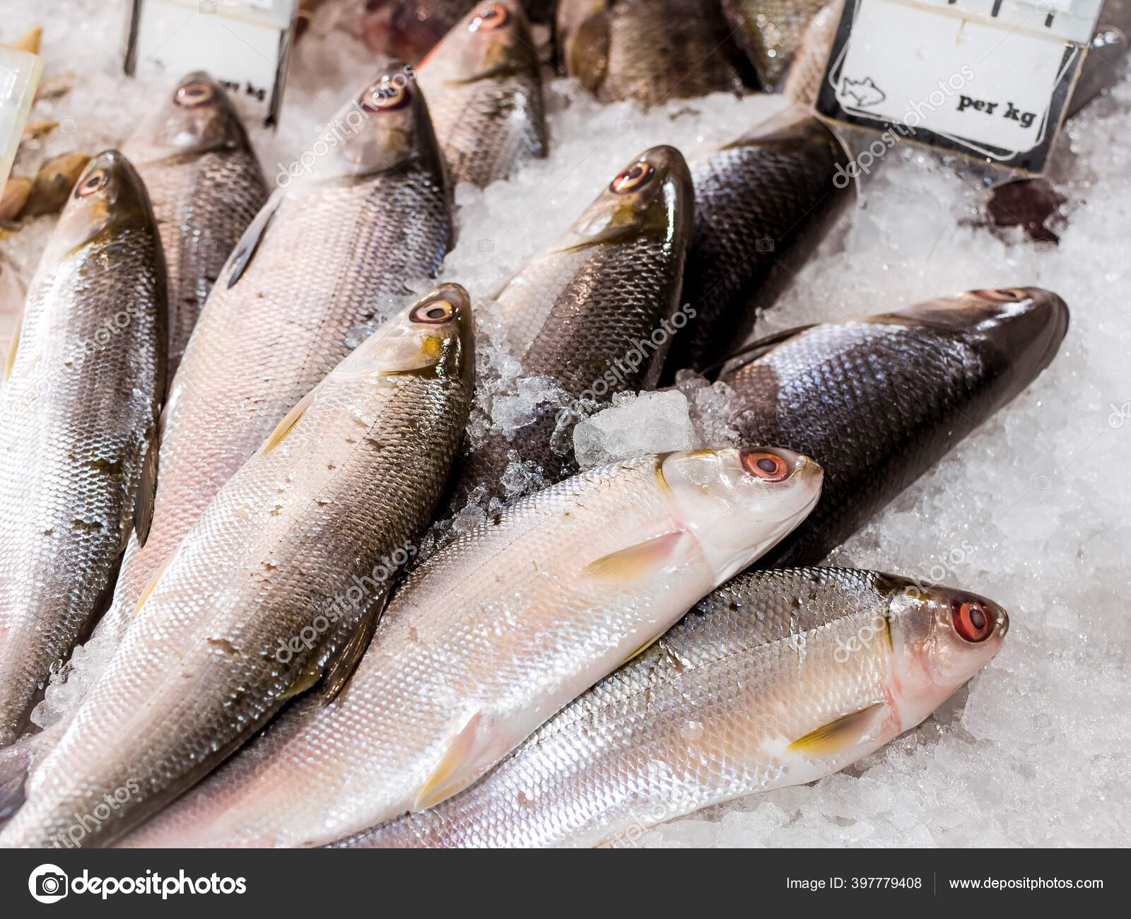 Bangus Milkfish Display Fish Section Supermarket Important Fish ...