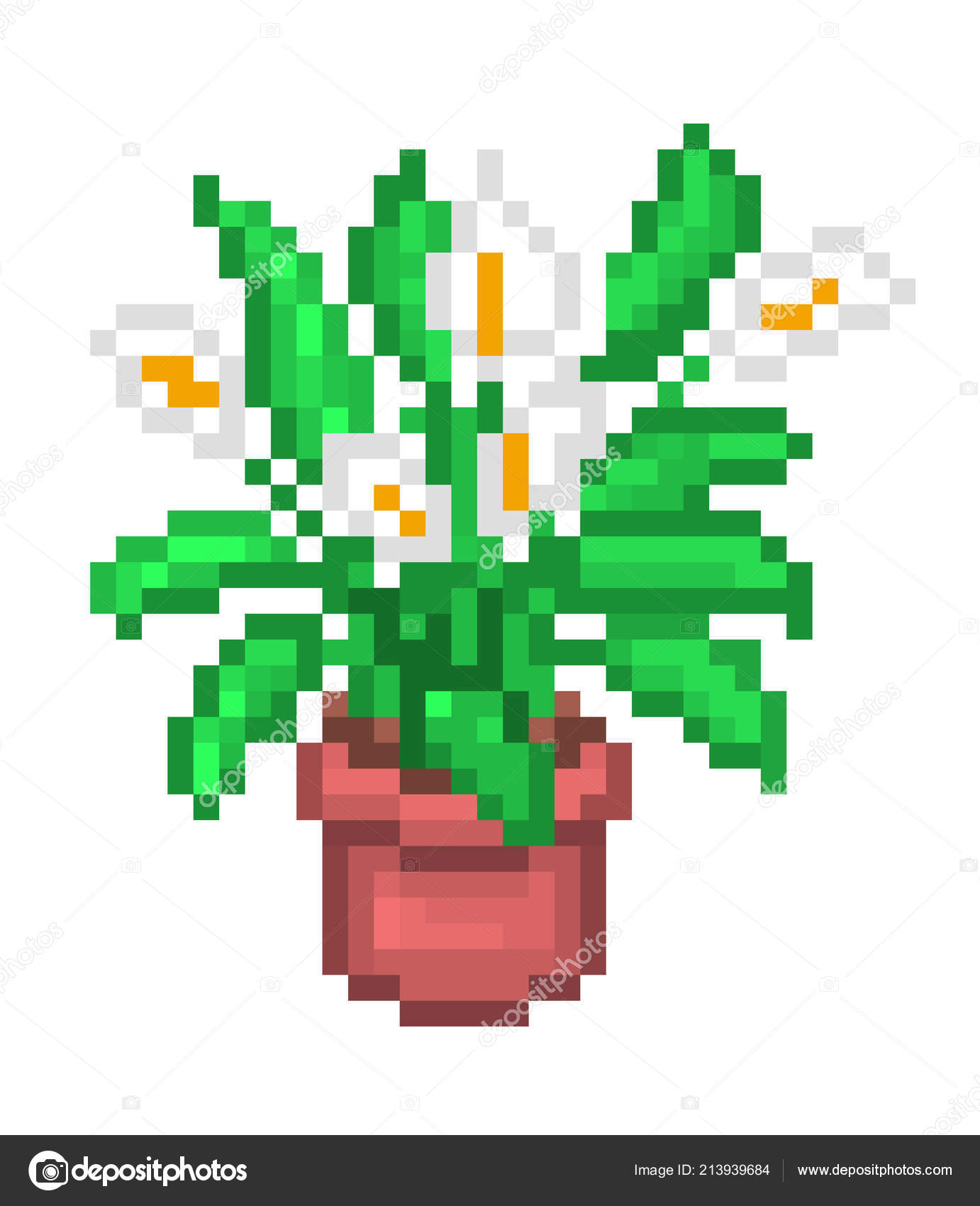 Blooming Spathiphyllum Peace Lily Spath Pixel Art Illustration Isolated ...