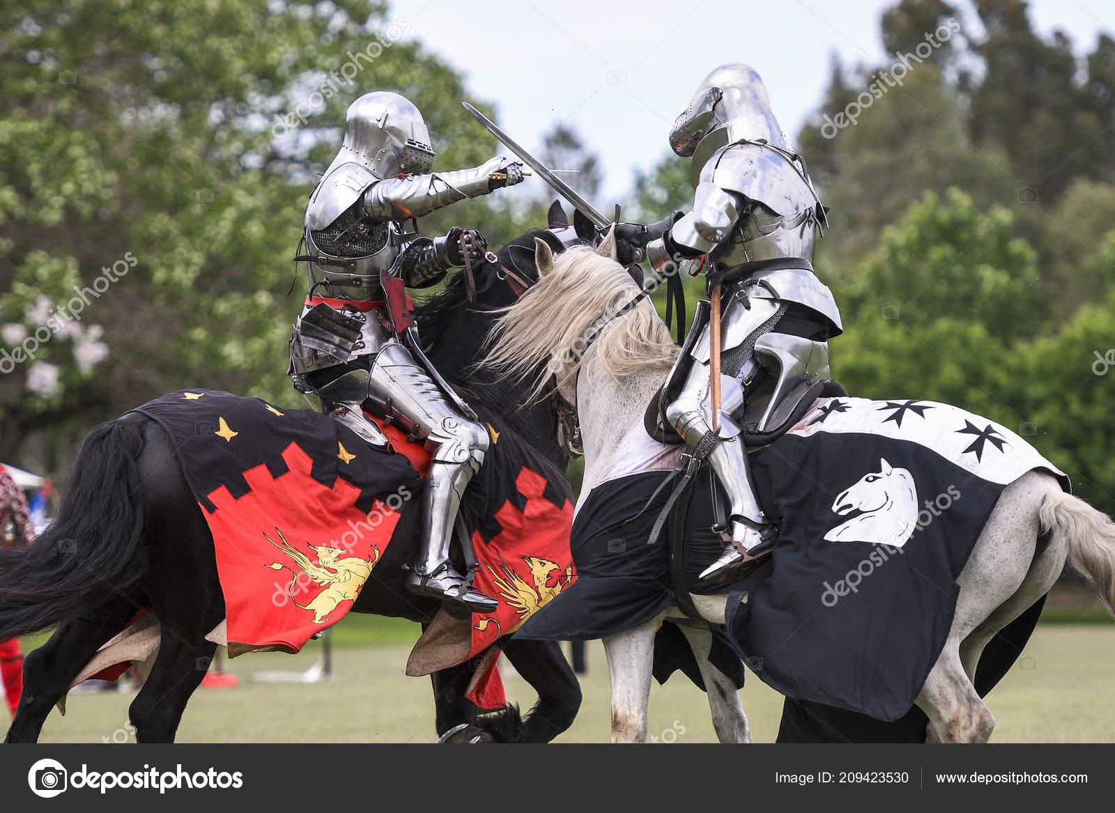 Medieval Jousting