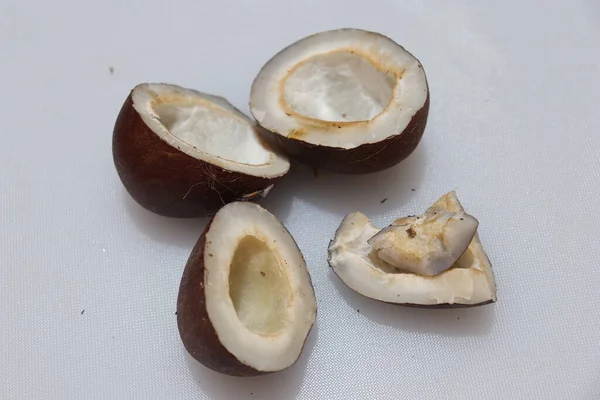 Palm kernel seed Stock Photos, Royalty Free Palm kernel seed Images ...