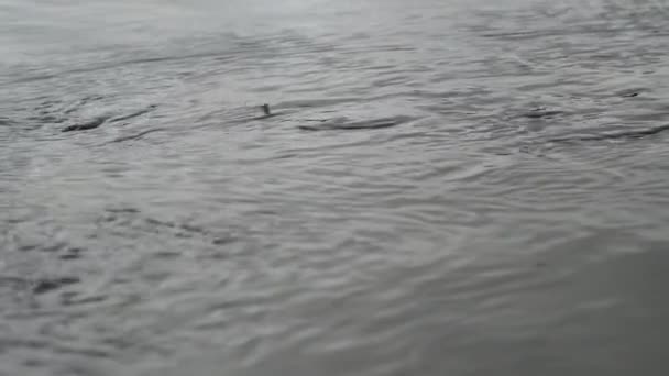 Slowly Floating Waves Large River Thresholds Stones Ripples Water ...