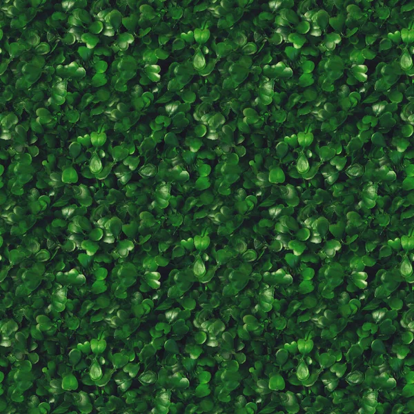 Palomita verde fotos de stock, imágenes de Palomita verde sin royalties ...