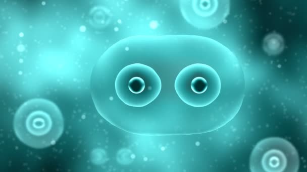 Cell division process ⬇ Video by © gsx Stock Footage #196376804