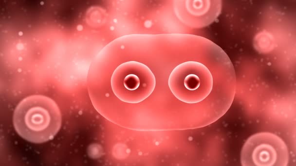 Cell division process ⬇ Video by © gsx Stock Footage #196376804