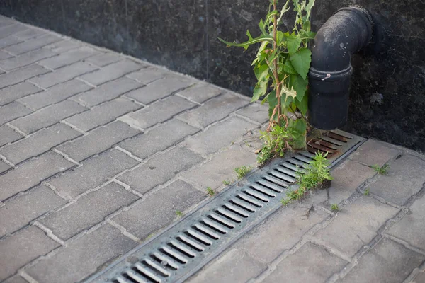 Drainage rainwater Stock Photos, Royalty Free Drainage rainwater Images ...