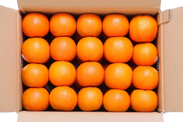 Citrus Tankan Carton Box — Stock Photo © deeblue #405619736