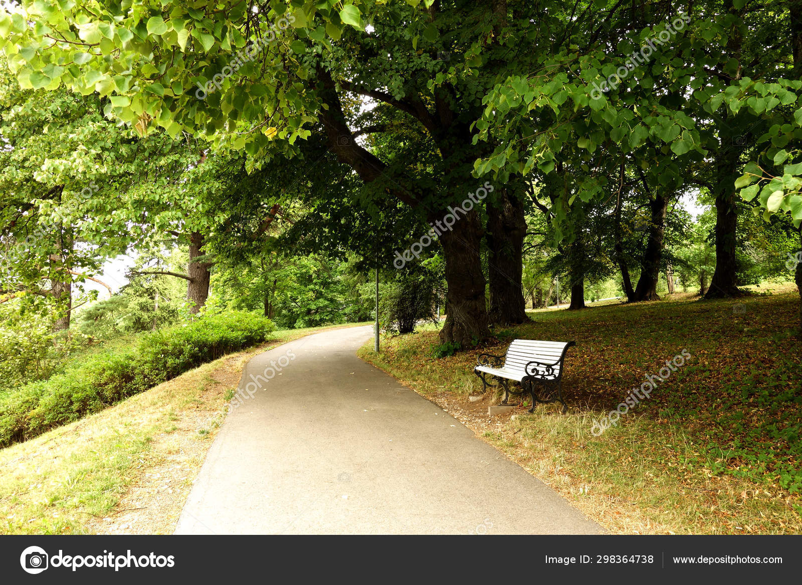 Bench Park Oak Tree Toila Estonia Oru Park — Stock Photo © Aelis ...