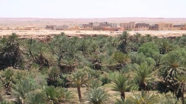 6,356 vídeos de Nature du maroc, metraje de Nature du maroc sin ...