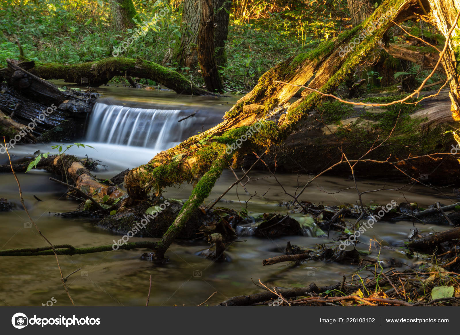 Cascades Mini Waterfalls Small Forest Stream — Stock Photo © MikeMareen ...