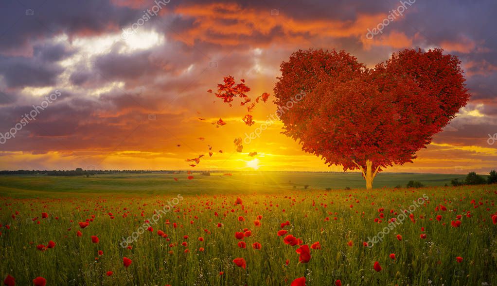 Corazón rojo en forma de árbol símbolo del amor y el Día de San ...