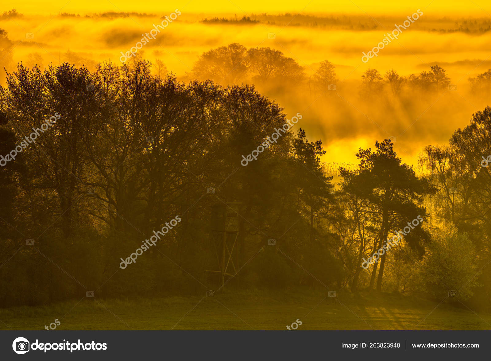 Hunting tower over the valley in the spring, foggy sunrise Stock Photo ...