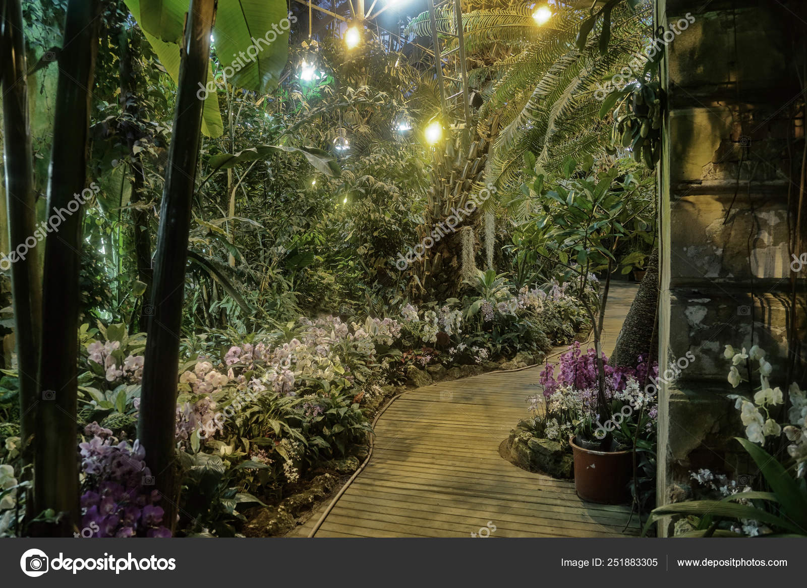Inside a tropical greenhouse Stock Photo by ©ironstuff 251883305