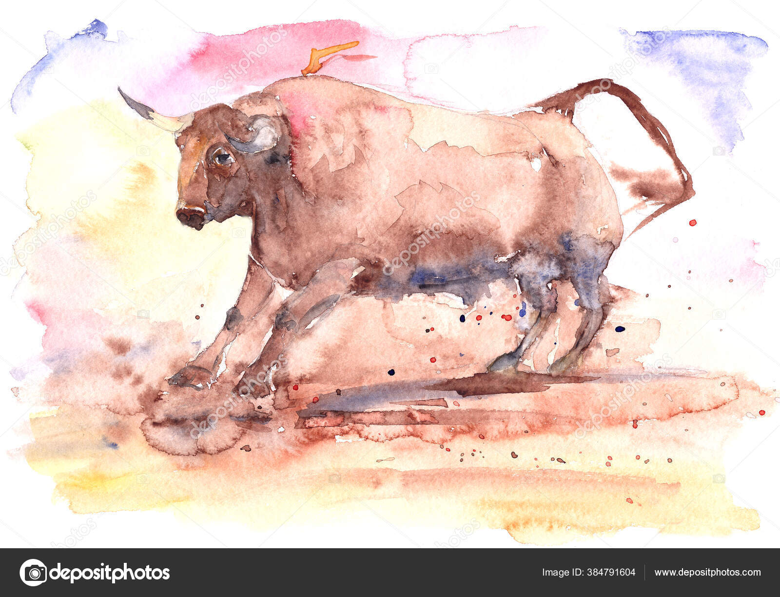 Spanish Bull Digs Hoofed Ground Arena Bullfight Spain Watercolor ...