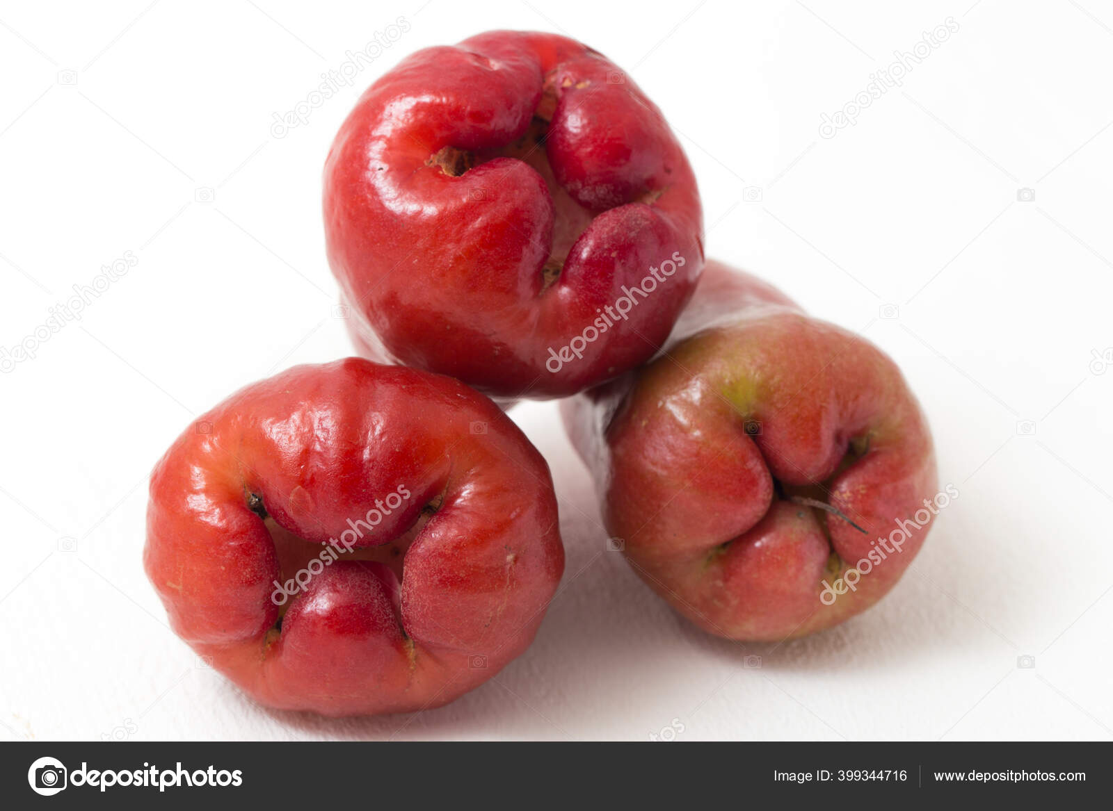 Rose Apples Chomphu Java Apple Syzygium Seed Isolated White Background ...