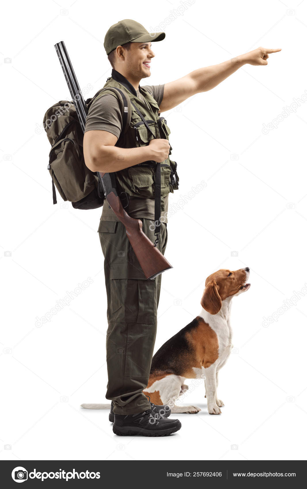 Beagle Pointing Hunting